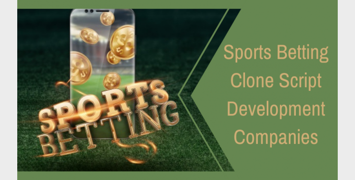 Best Sports Betting Clone Script Providers | Hire Sports Betting Clone ...